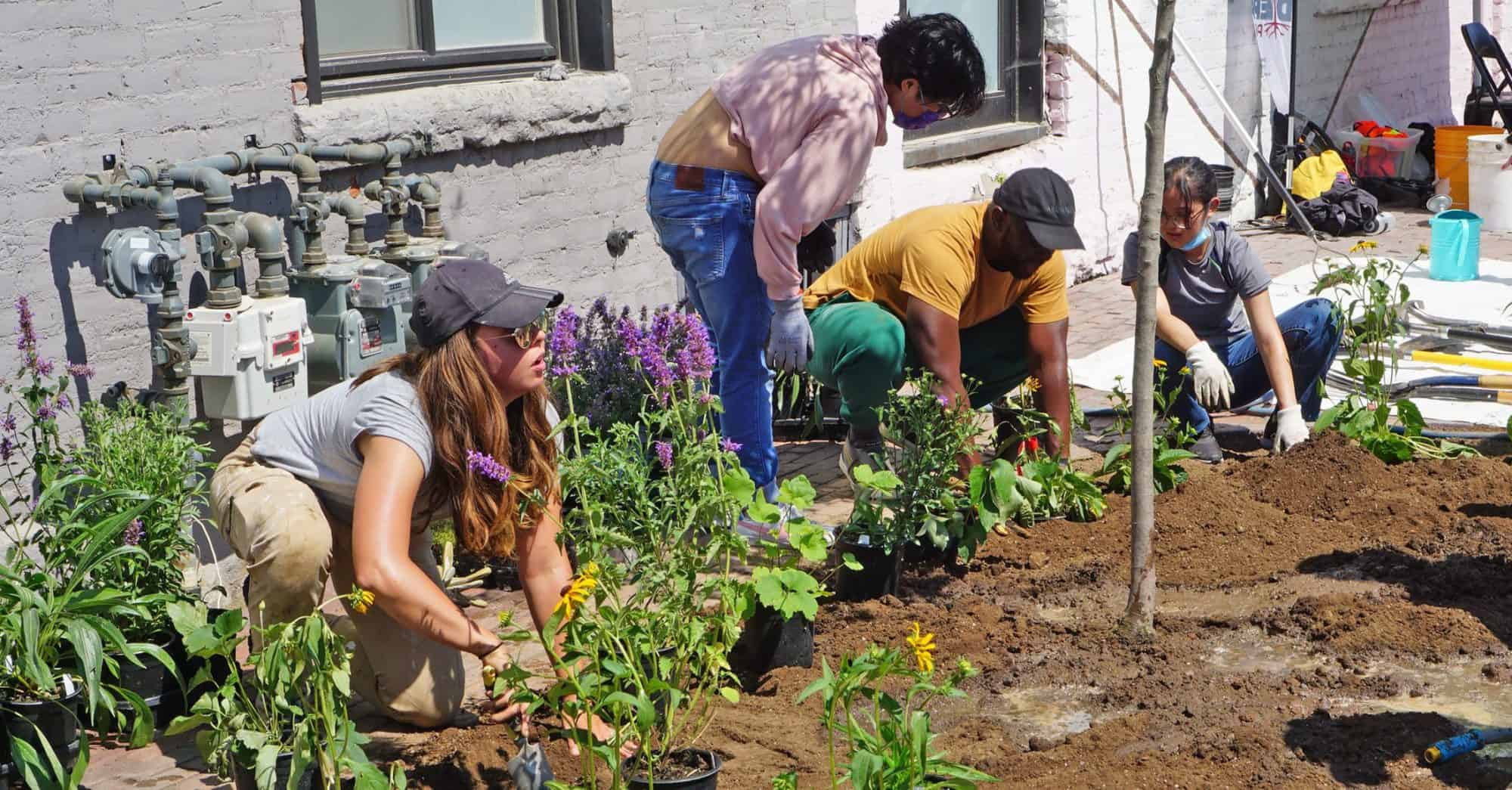 Green Communities Canada Receives $1M to Advance Equitable Green ...