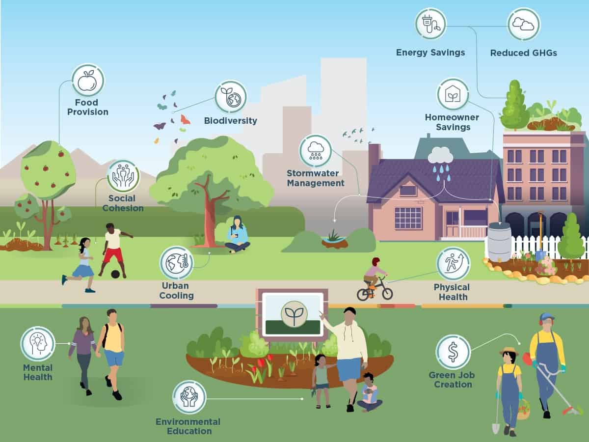Green Infrastructure Benefits Why Do We Need Urban Green Space?