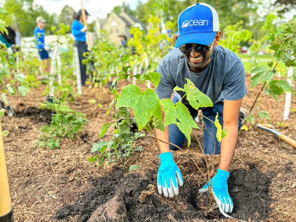 Credit Valley Conservation Establishes a 100m2 Mini Forest in ...