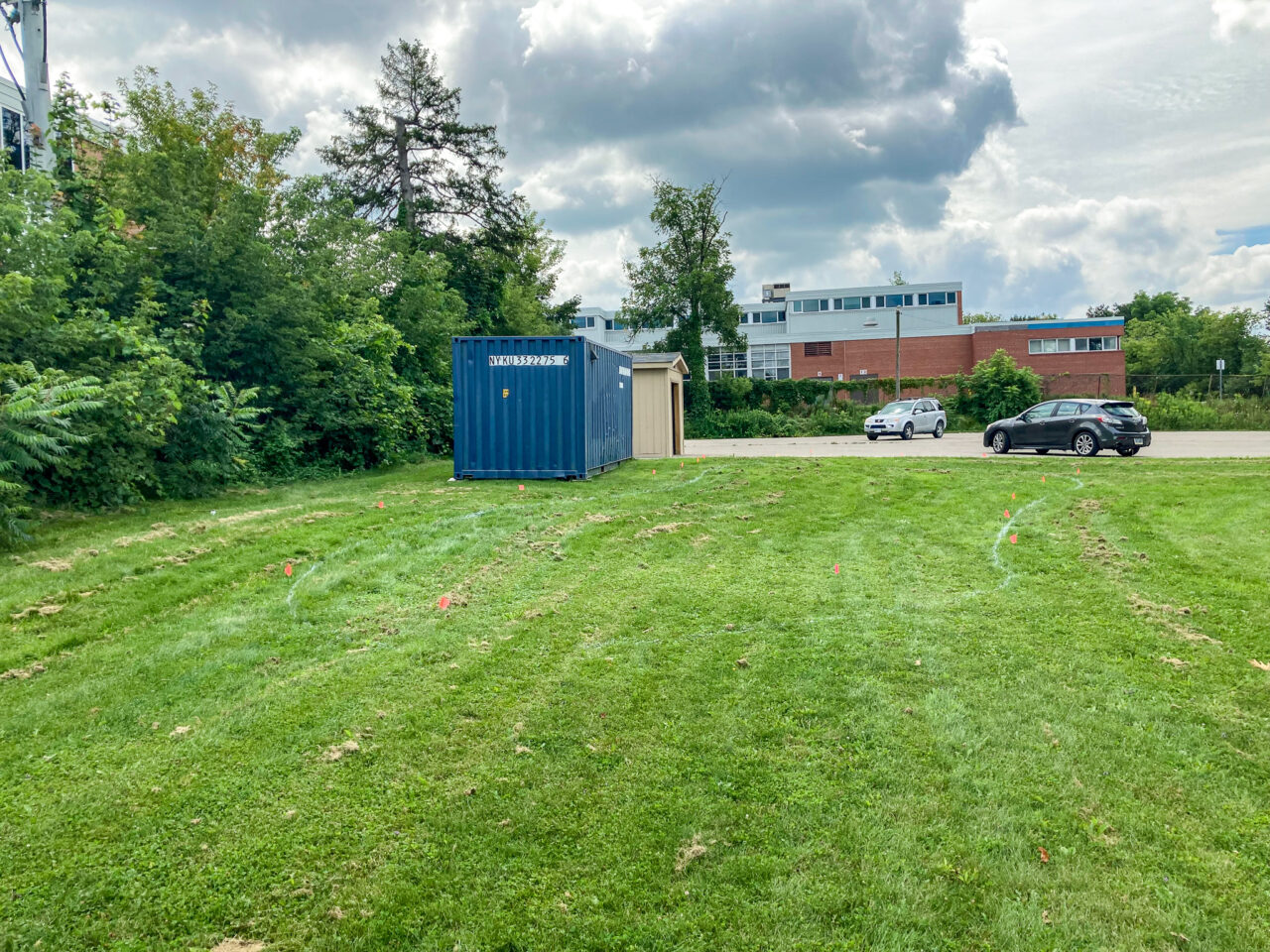 Credit Valley Conservation Establishes a 100m2 Mini Forest in ...