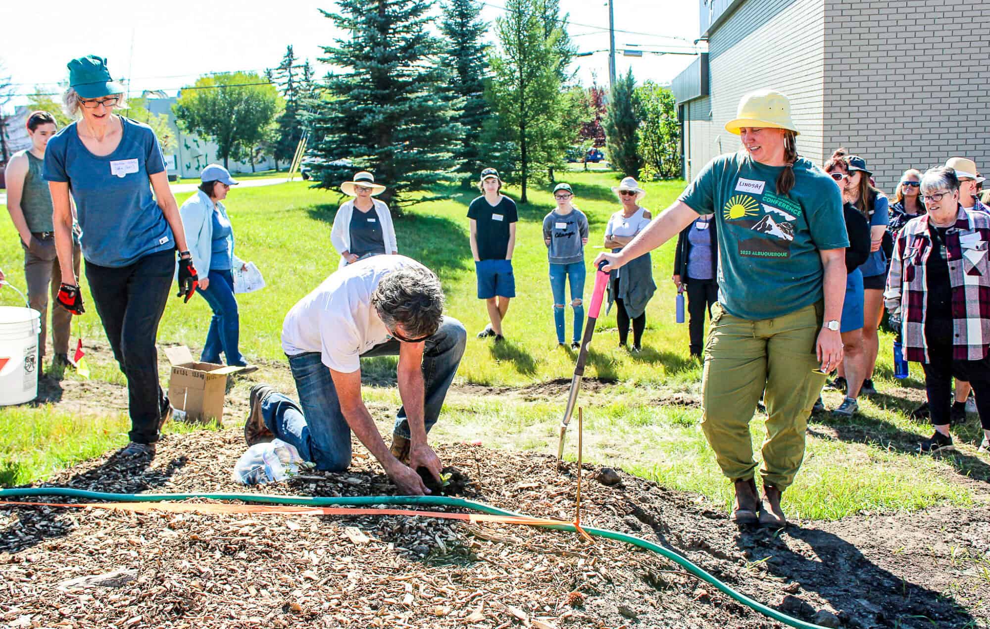 Calgary Climate Hub Transforms An Industrial Landscape With A Mini ...