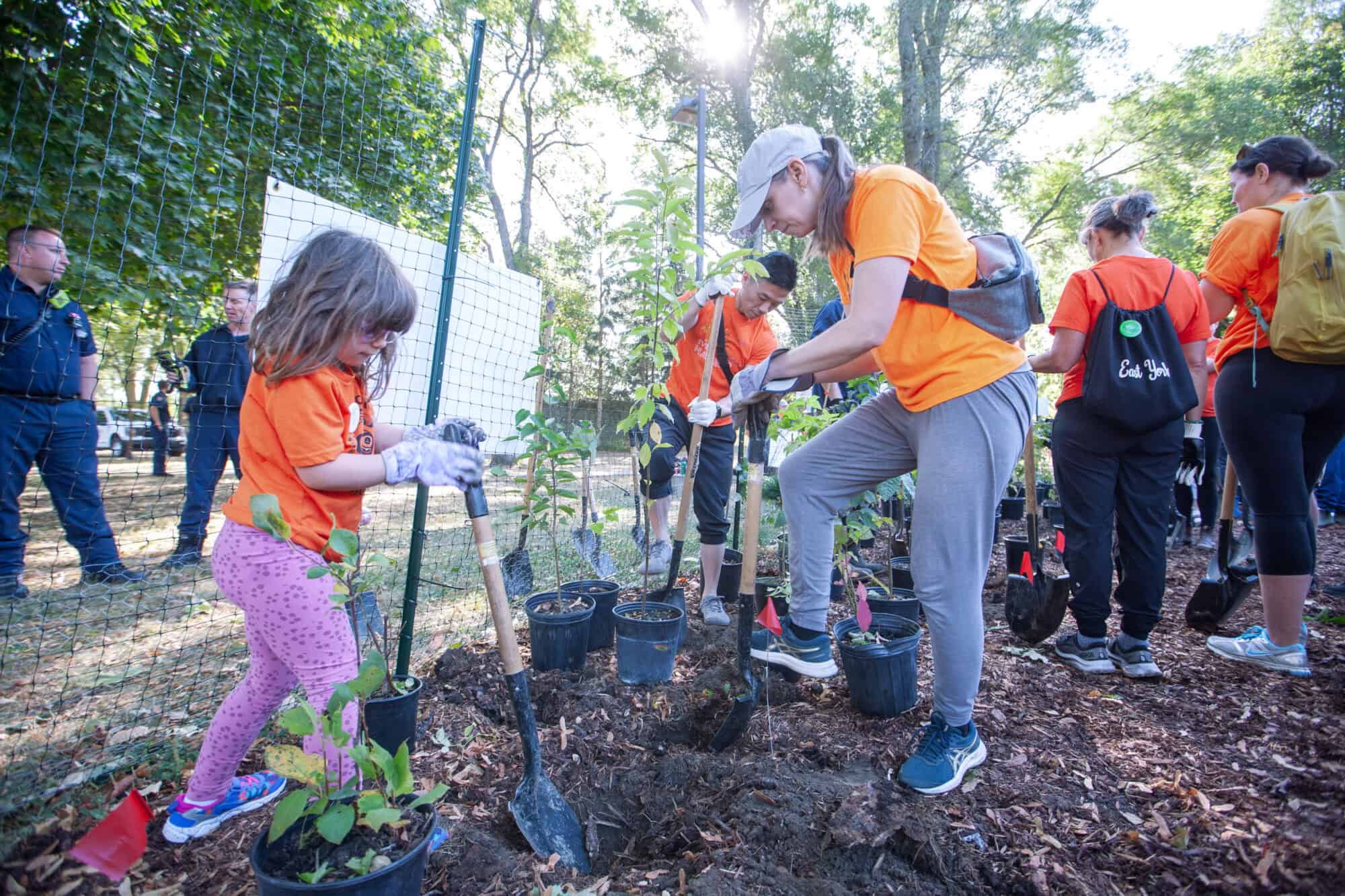 Toronto and Region Conservation Authority (TRCA) installs a new mini ...