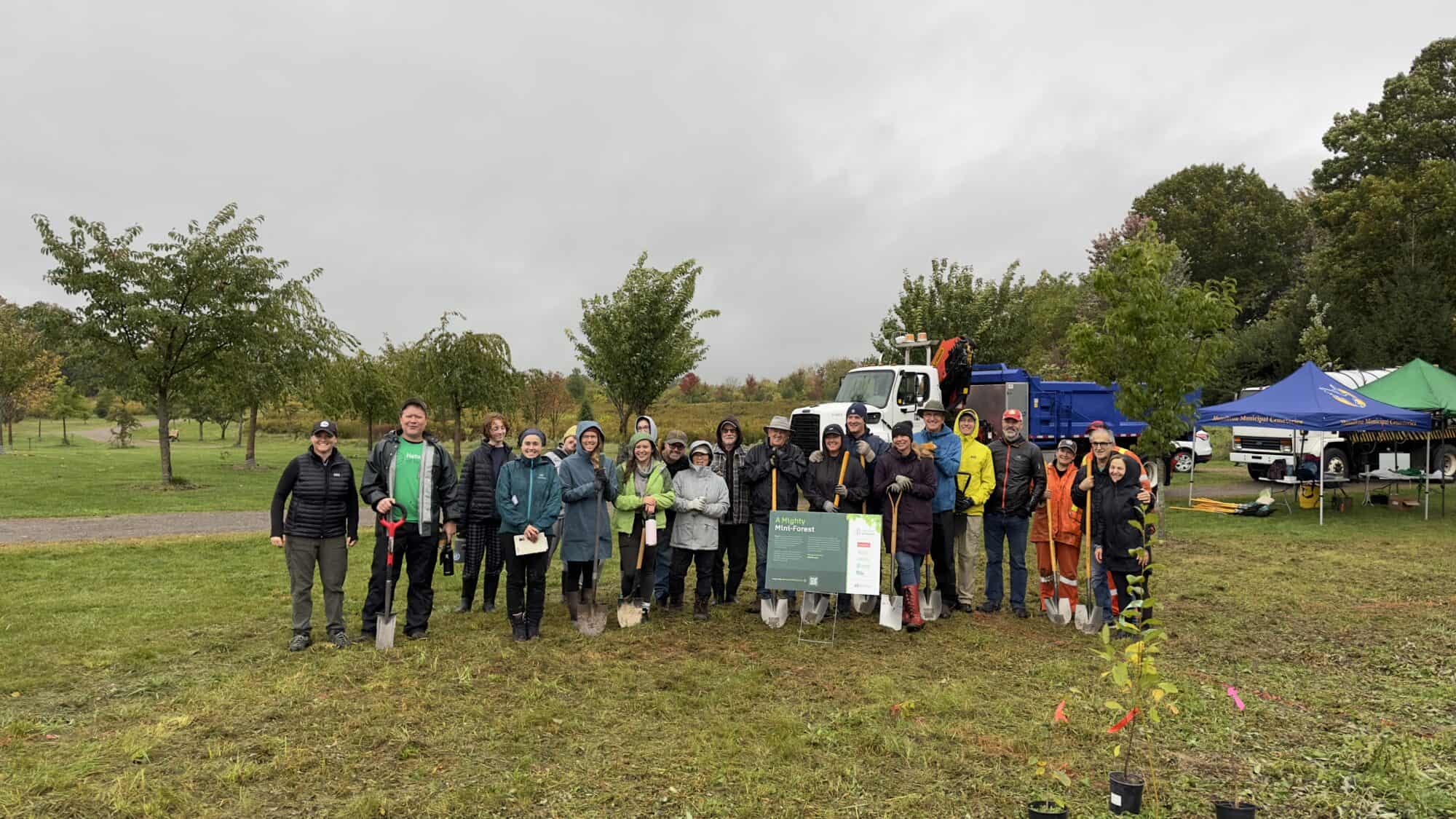 City of Hamilton Plants 900 trees and shrubs as a Mini Forest at ...