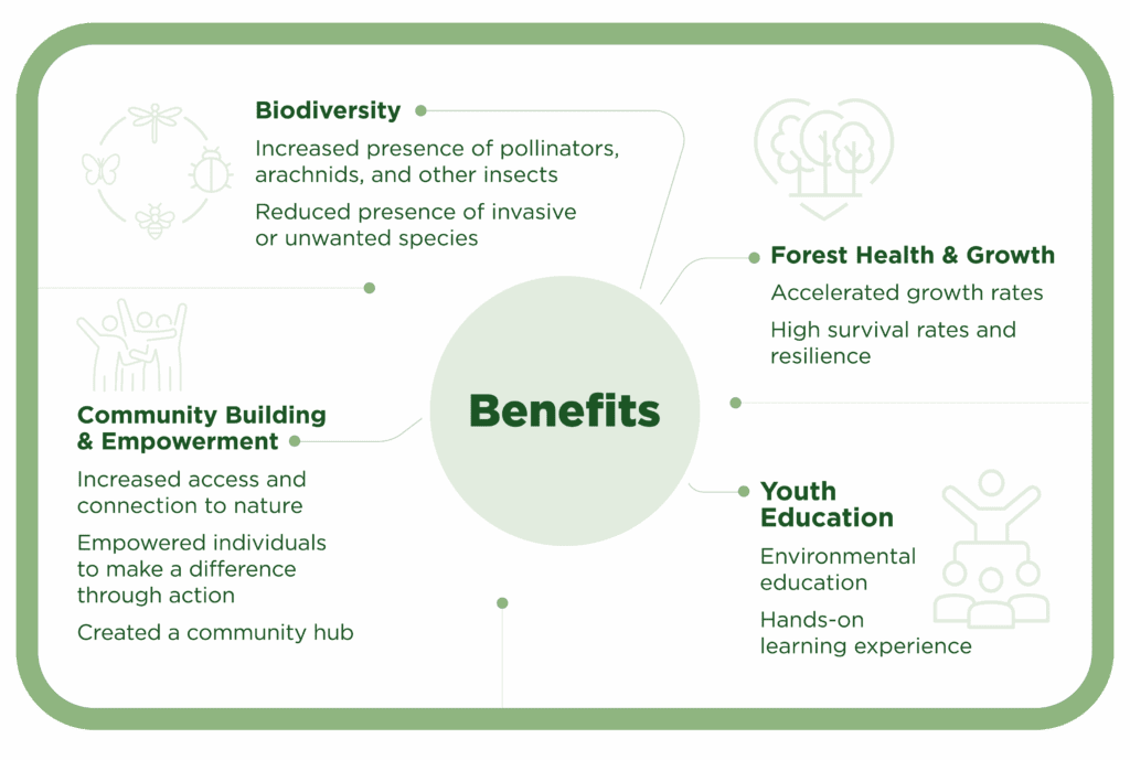 Seeds of Change: Celebrating the Growth of Mini Forests Across Canada ...